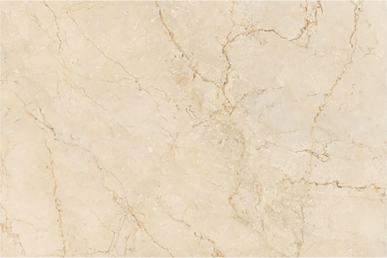 Kajaria Ceramics Limited